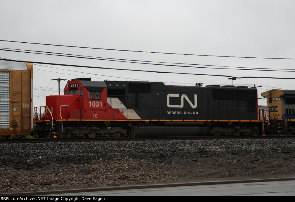 CN(IC) 1031
